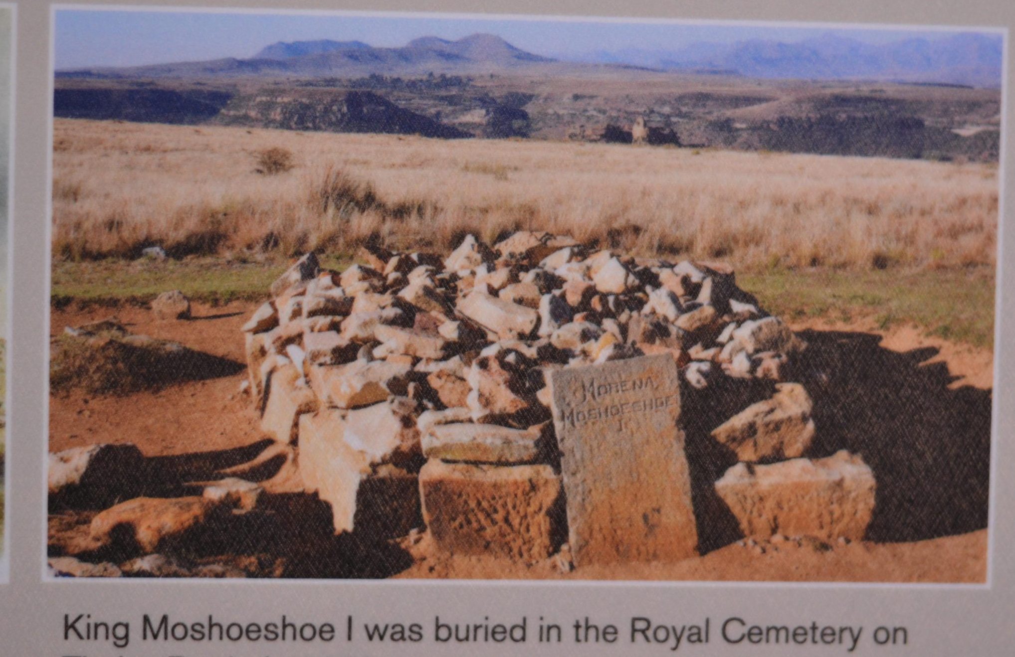 The Life of Morena Moshoeshoe – LS Insights